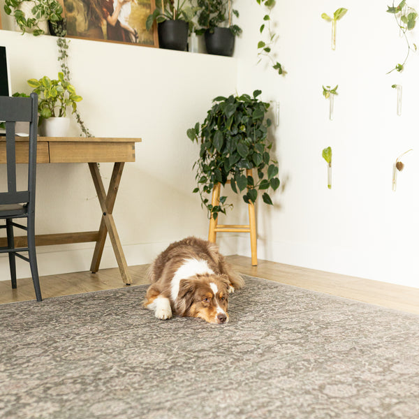 Tumble | Spillproof, Washable & Pet Friendly Rugs